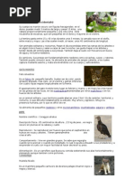 Recopilacion Tarjetas Dixit | PDF