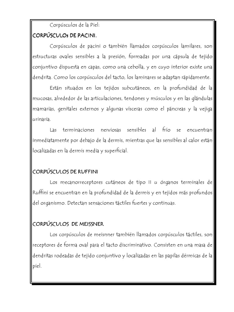 Corpúsculos Táctiles en la Piel | PDF