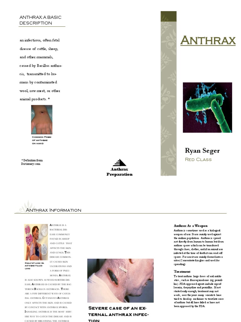 Anthrax: Causes, Symptoms, and Treatment | PDF