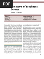 NDD to IDDSI Transition Guide | PDF