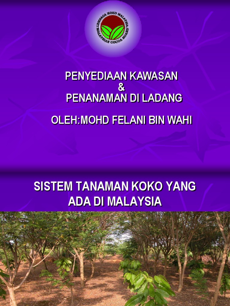 Koko | PDF