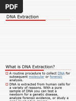 Extraction of DNA Onions | PDF | Cell (Biology) | Cell Nucleus