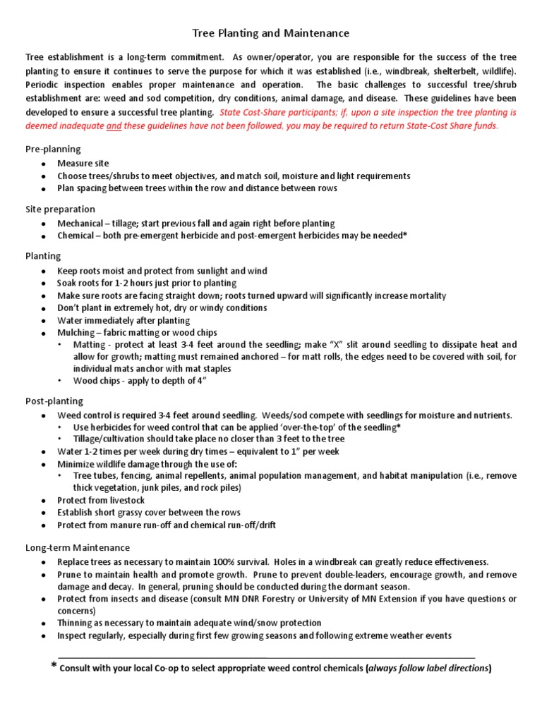 Tree Planting and Maintenance Guidelines | PDF | Trees | Tillage