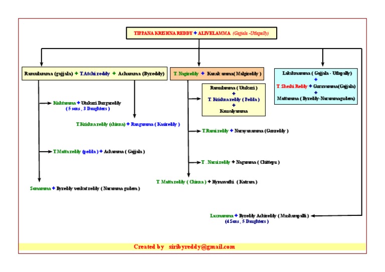 Byreddy Family Tree Overview | PDF
