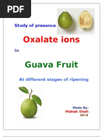 Class 12th Chemistry Project On Investigatory Test On Guava | PDF ...