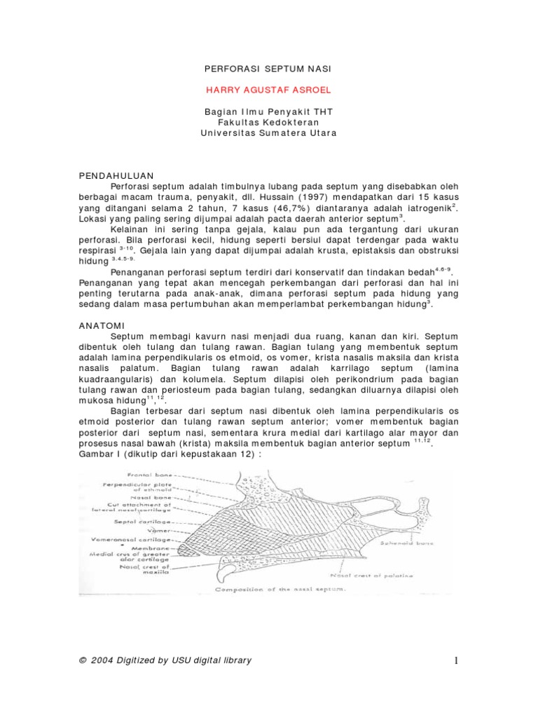 Perforasi Septum | PDF