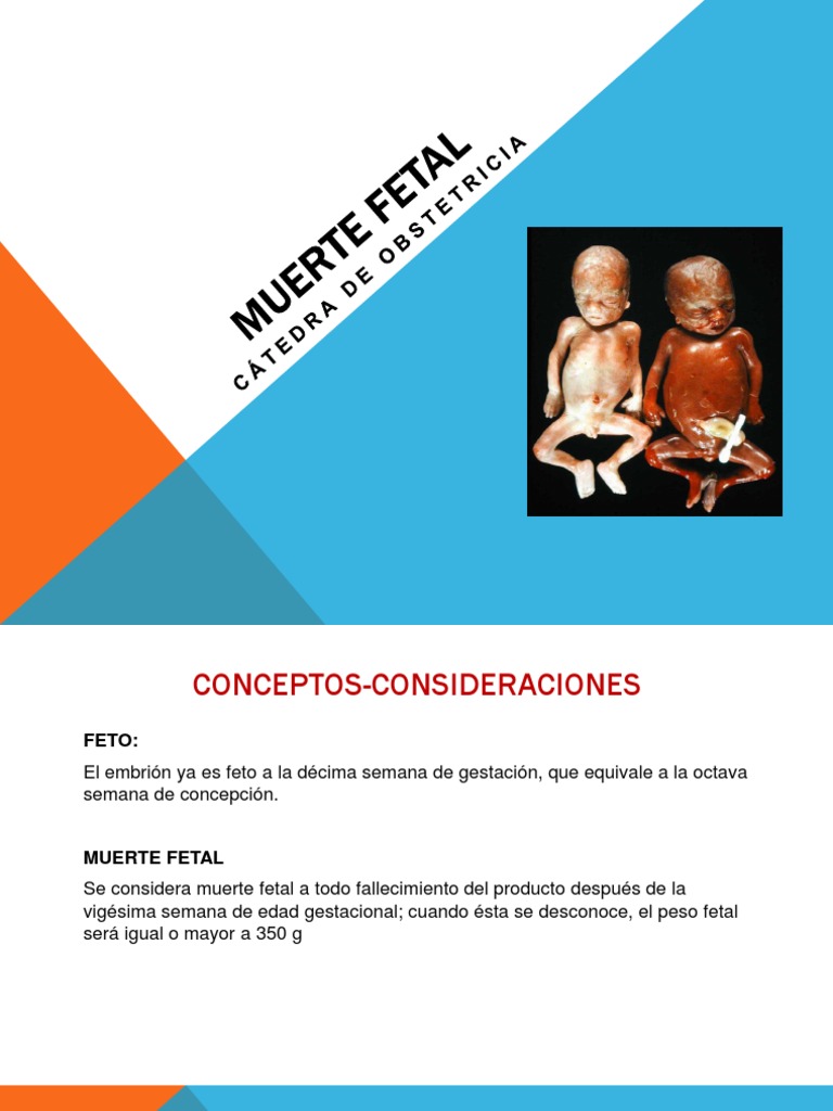 Feto Muerto | PDF | El embarazo | Parto