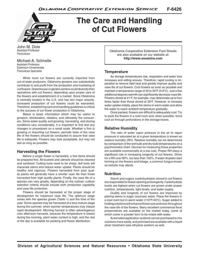 Flowers - Care and Handling of Cut Flowers | PDF | Home & Garden | Wellness