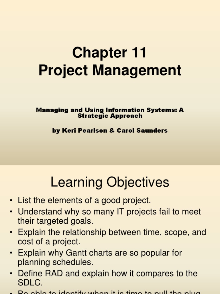 IT Project Management | PDF | Software Development Process | Software ...