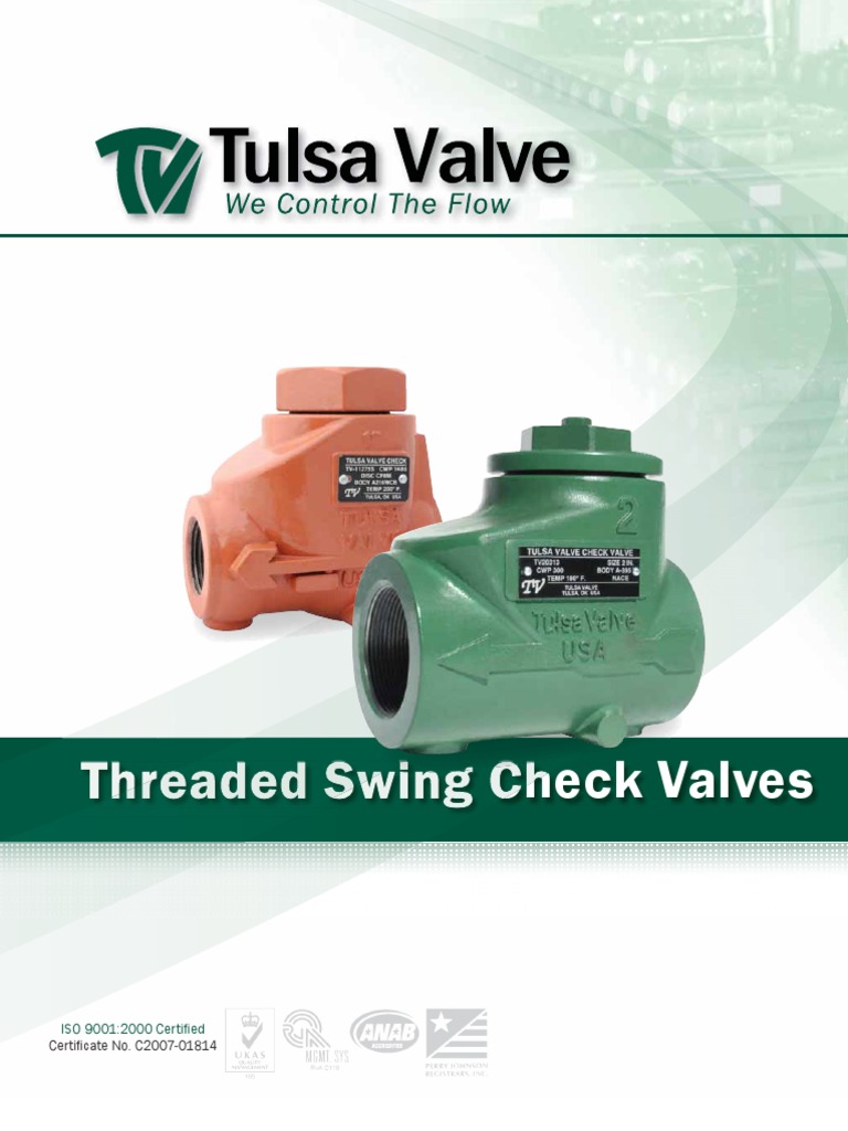 Swing Check Valves | PDF | Valve | Pipe (Fluid Conveyance)