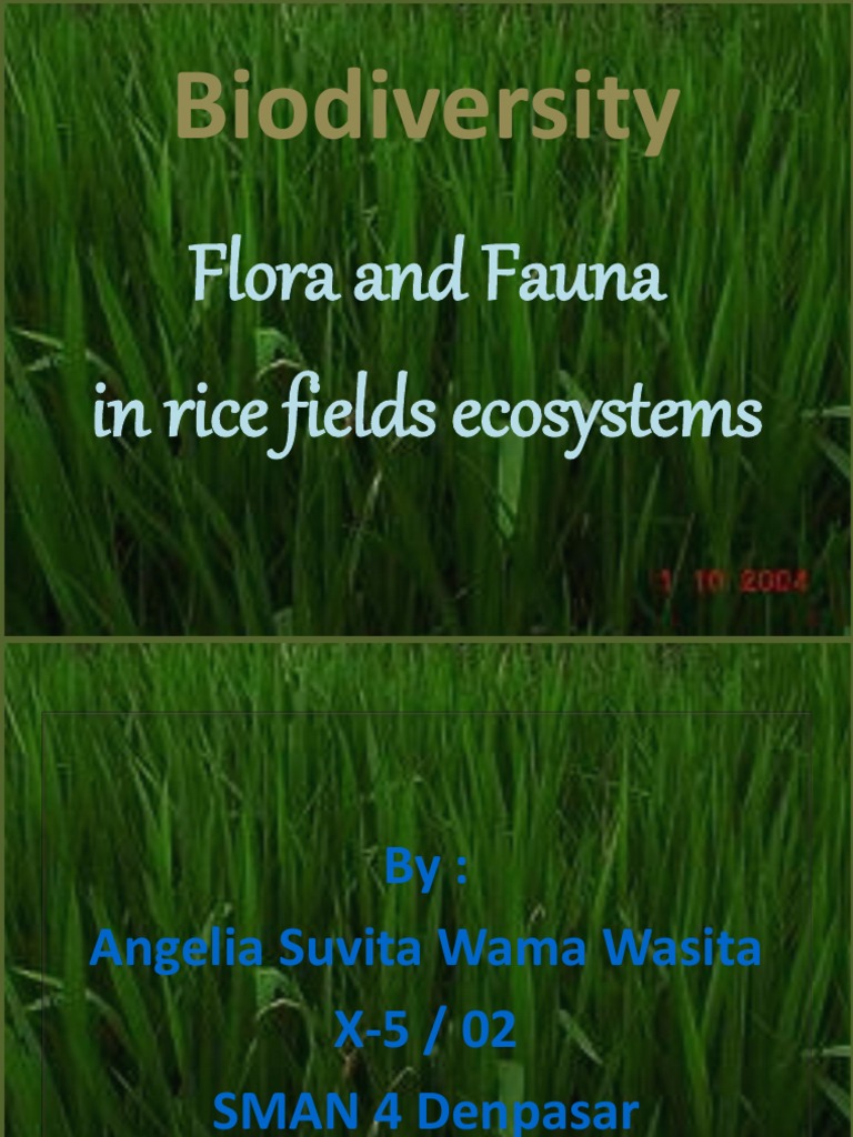 Biodiversity in Rice Field Ecosystems: Dominant Flora and Fauna Species ...