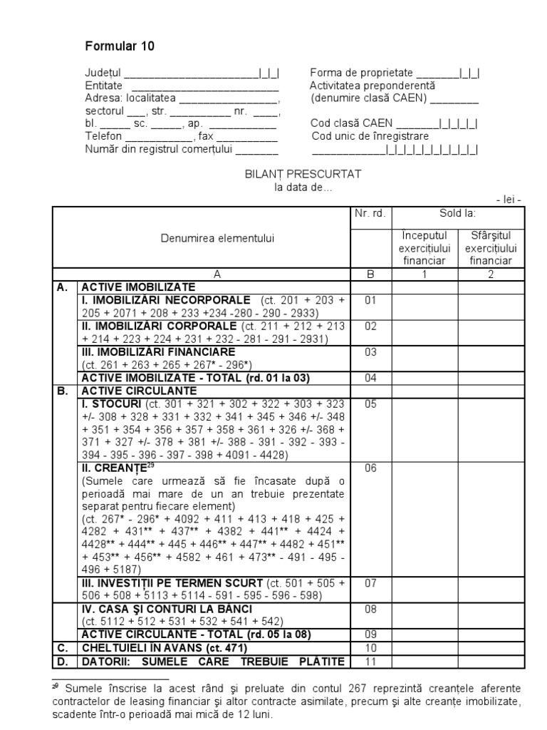 Bilant Prescurtat | PDF