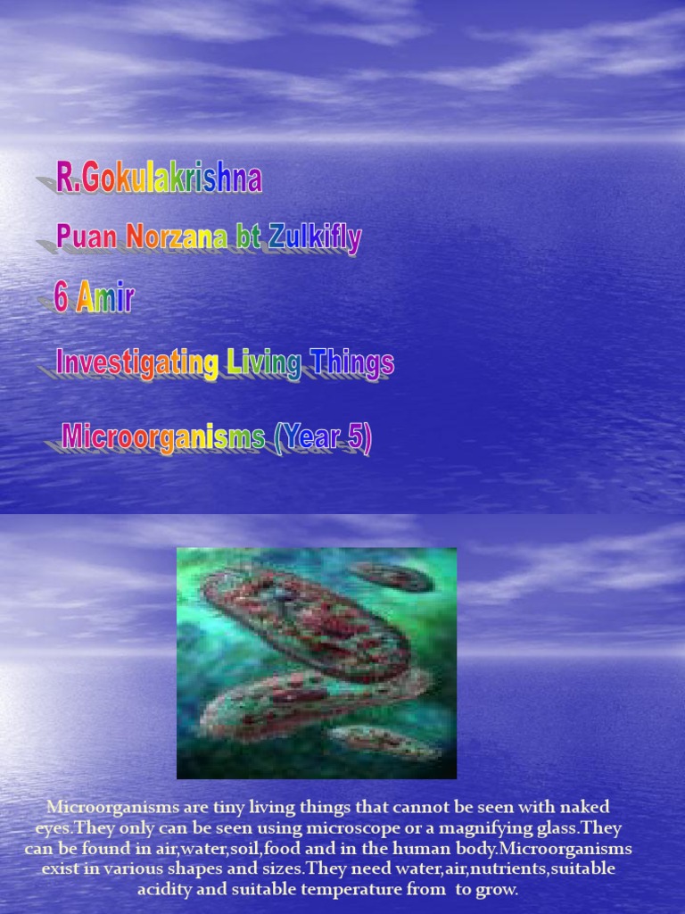 SCIENCE Presentation Microorganisms | PDF | Microorganism | Bacteria