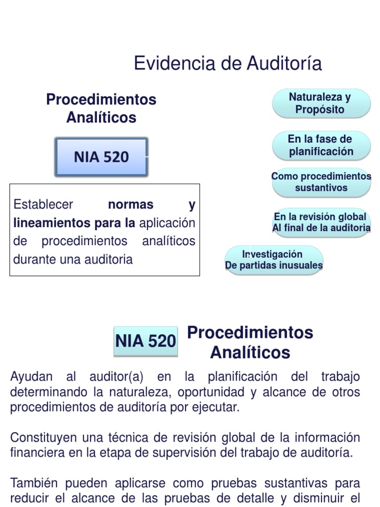NIA 520 | Auditoría | Contralor