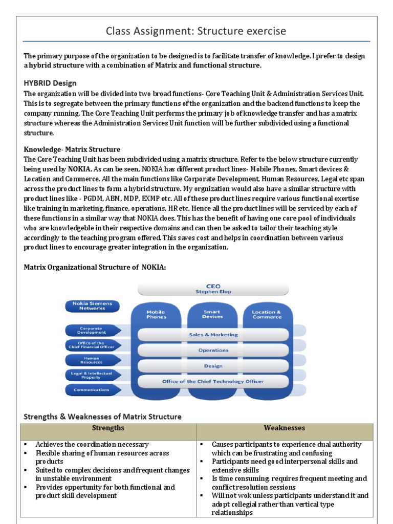 Hybrid structure | Organizational Structure | Business