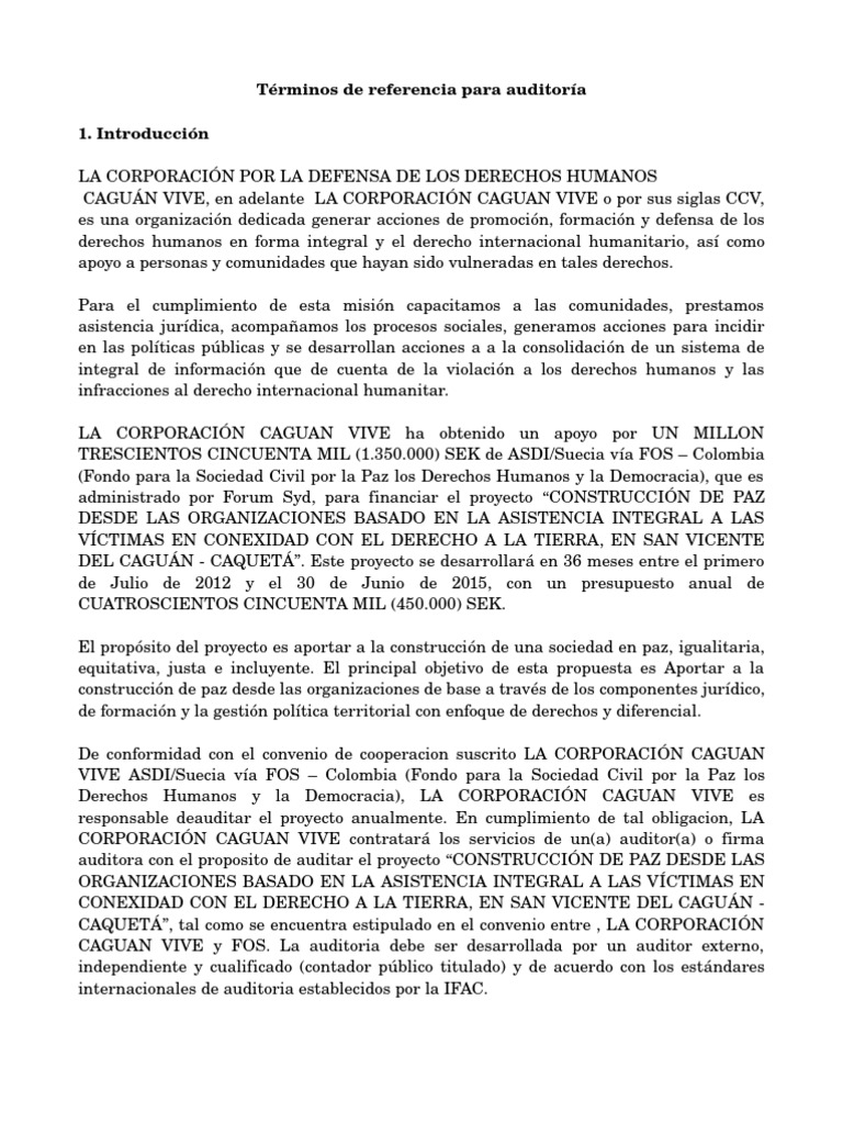 Términos de Referencia para Auditoría | PDF | Auditoría | Contralor