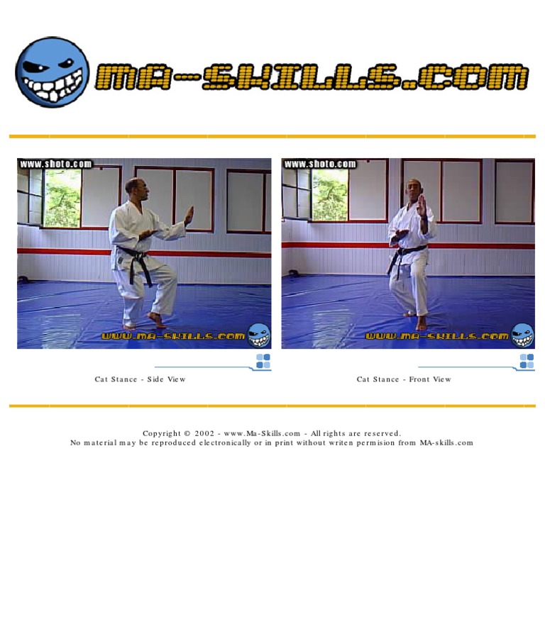Cat Stance - Side View Cat Stance - Front View | PDF