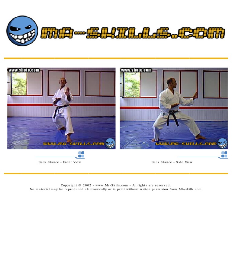Back Stance - Front View Back Stance - Side View | PDF