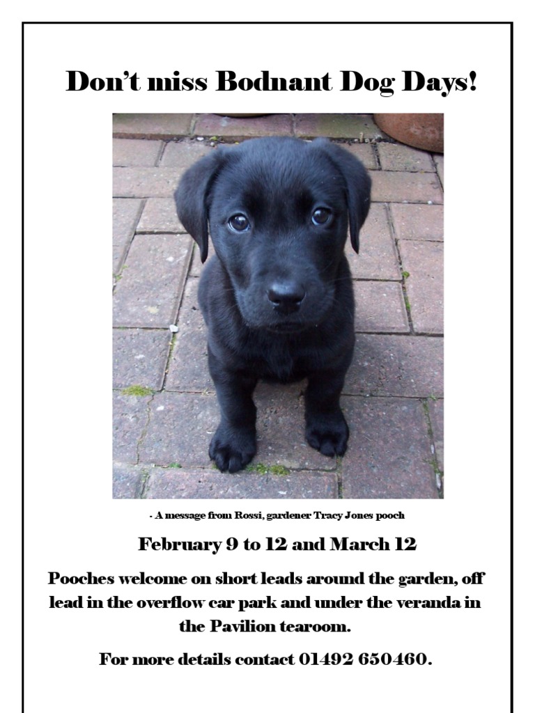 Bodnant Gardens Dog Days Event | PDF | Cooking, Food & Wine | Science ...