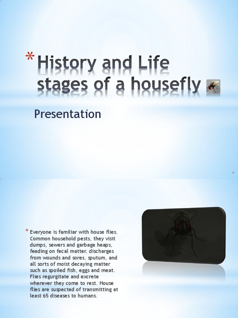 Housefly Life Cycle & Facts | PDF | Fly | Insects