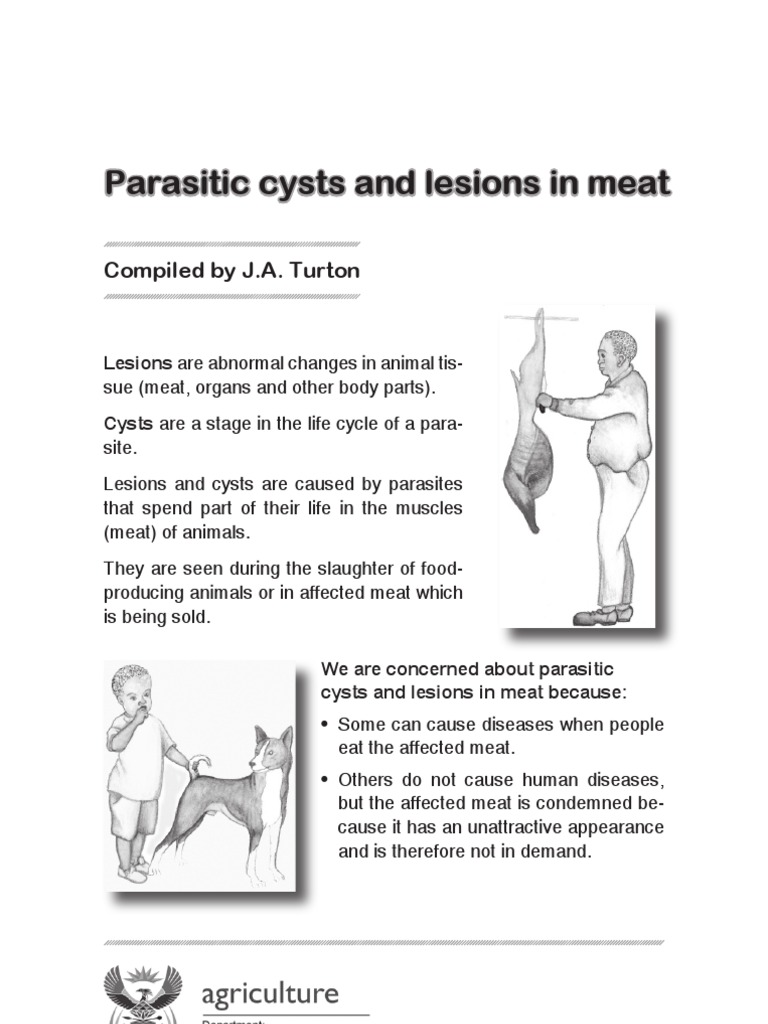 Parasitic Cysts and Lesions in Meat: Compiled by J.A. Turton | PDF ...
