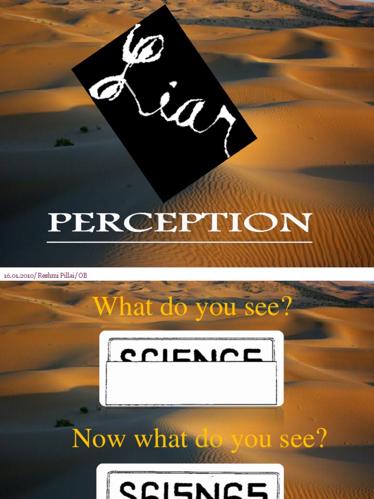 Perception | PDF | Schema (Psychology) | Perception