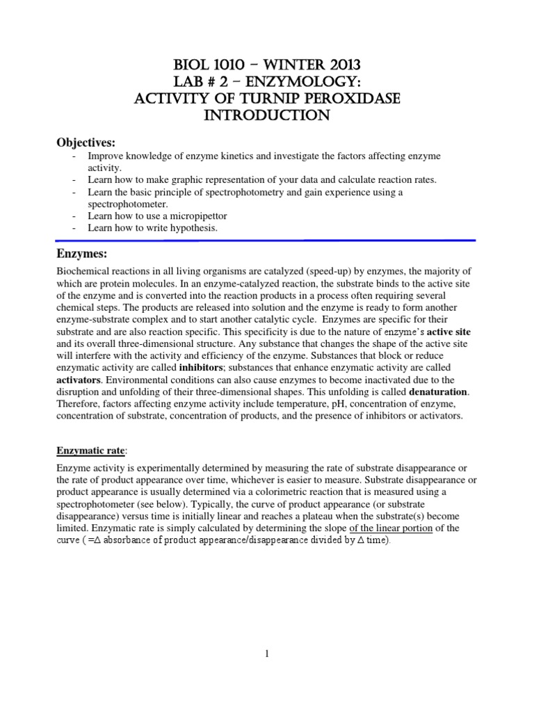 Enzymology Lab Pdf Absorbance Enzyme