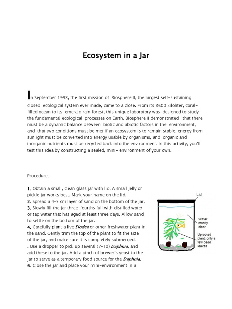 Ecosystem in A Jar | PDF | Ecosystem | Ecology