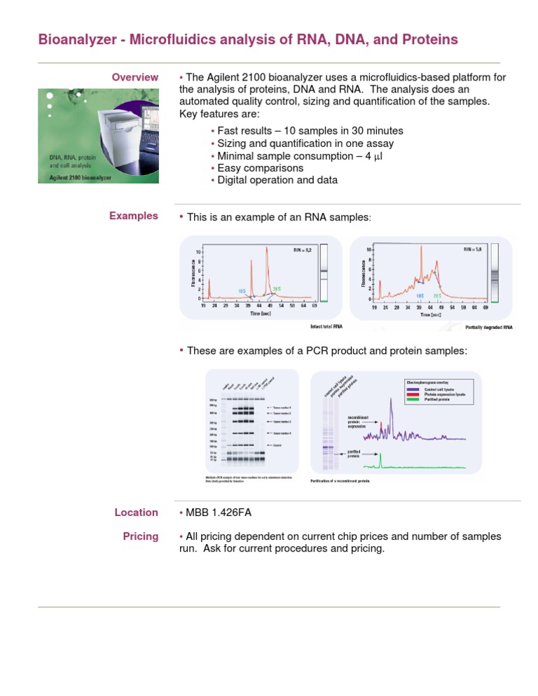 Bioanalyzer Manual | PDF
