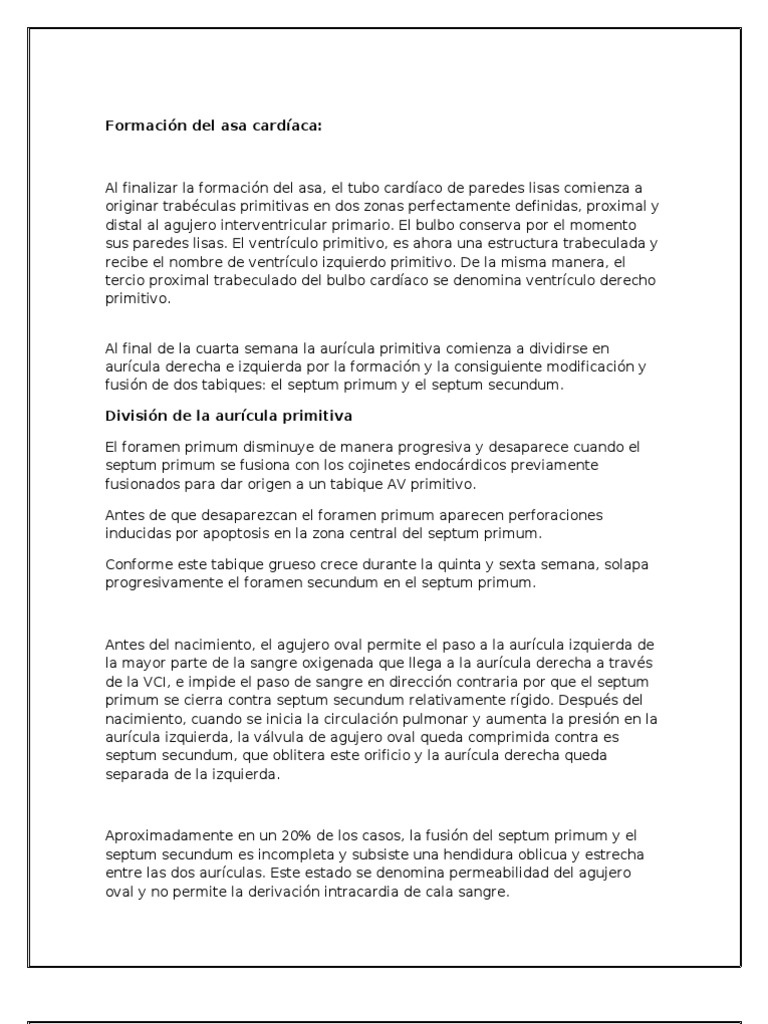 Formación Del Asa Cardíaca | PDF | Corazón | Anatomía