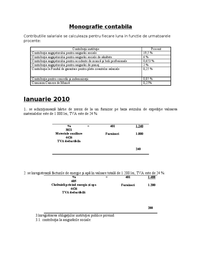 Monografie Contabila | PDF