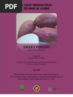 Beetroot Production Guideline 2014 | PDF | Beetroot | Sowing