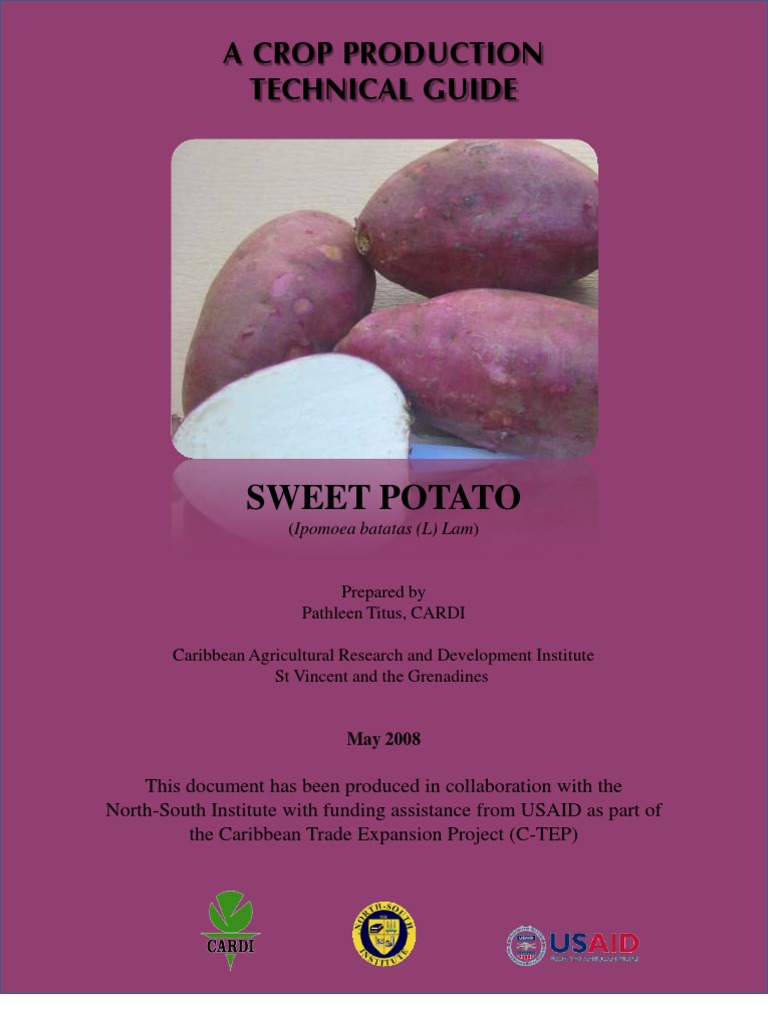 Sweet Potato Production Guide | Sweet Potato | Potato