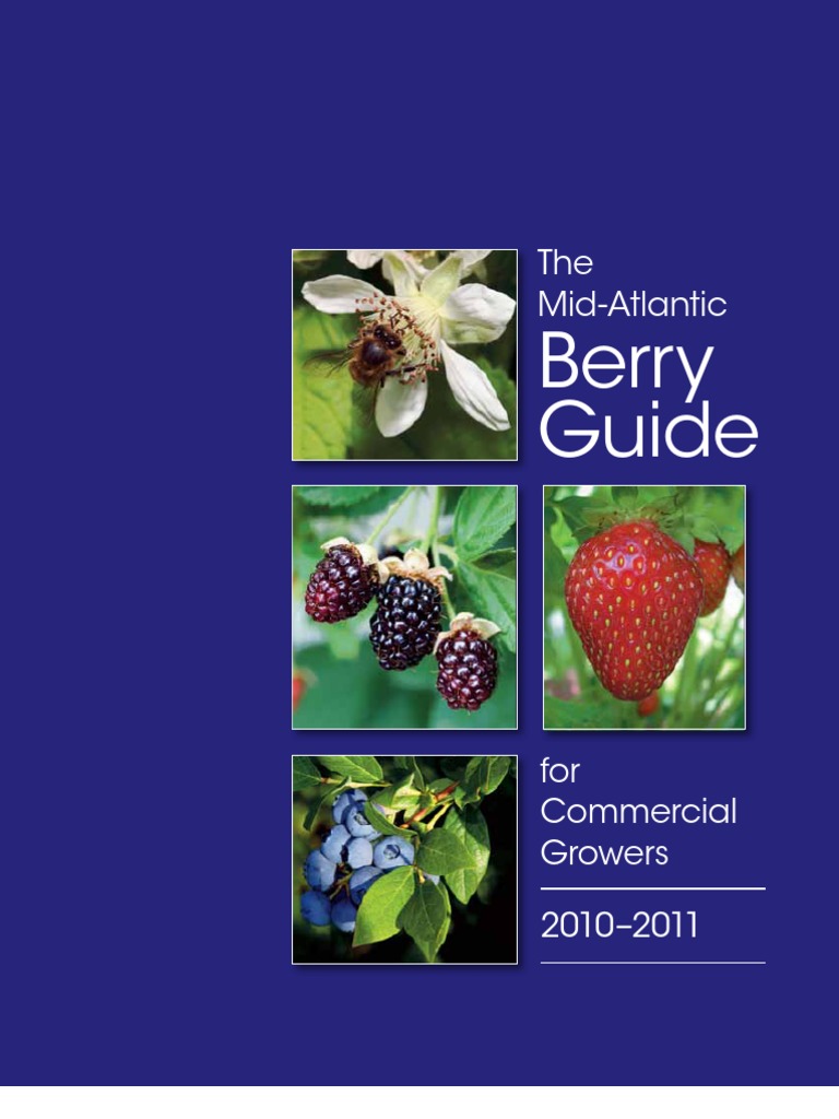 Berry Guide | PDF | Organic Farming | Crop Rotation