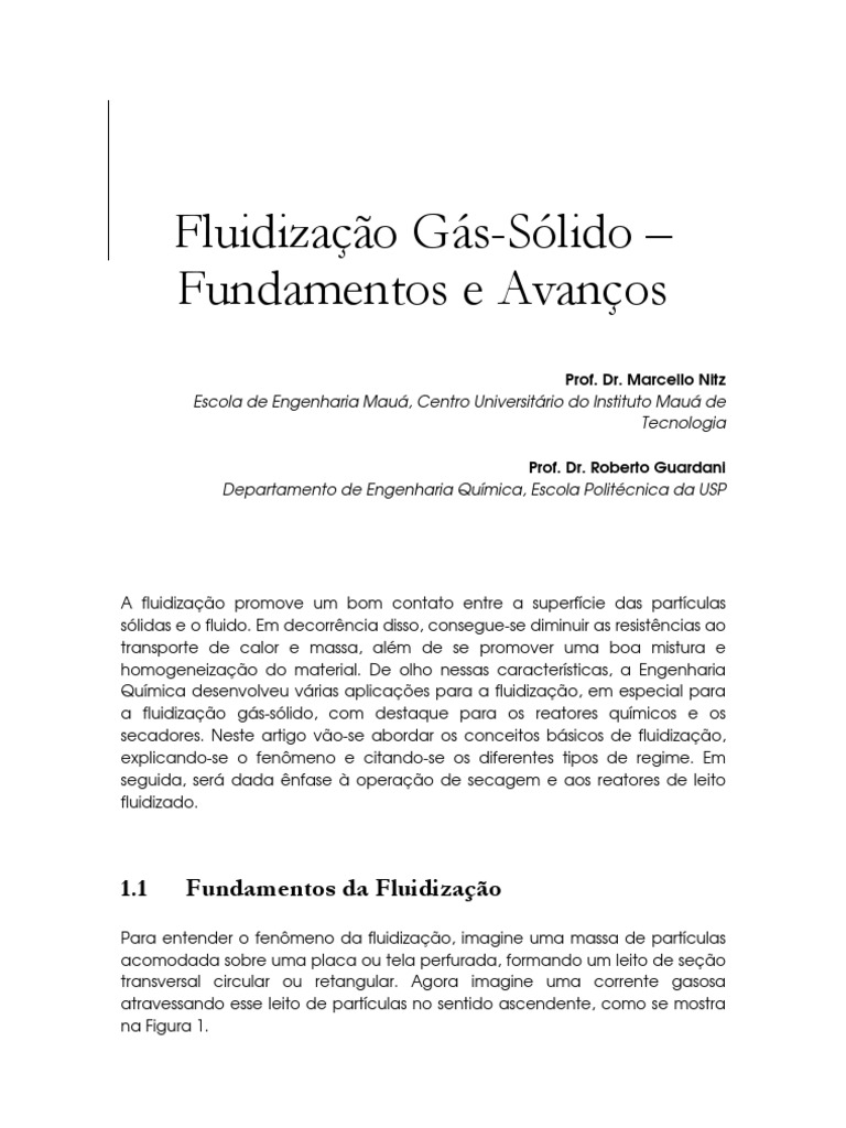 Artigo Fluidizacao Gas Solido Prof Nitz | PDF | Craqueamento (Química) | Oxigênio