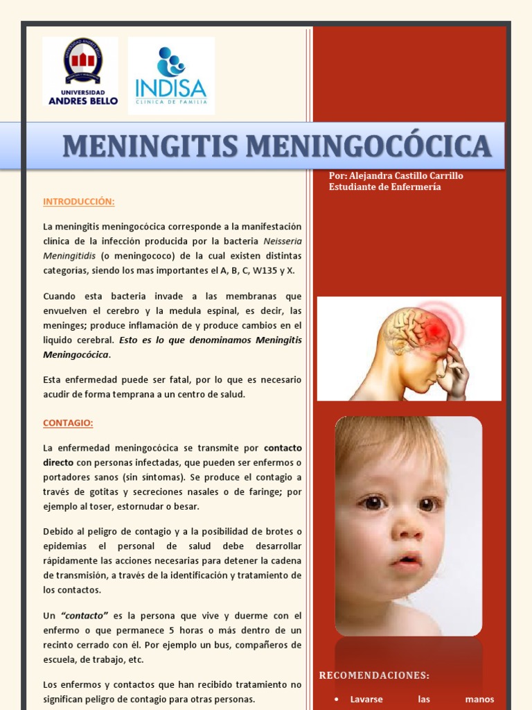 Folleto de Meningitis Meningocócica | PDF | Patologia clinica | Rtt