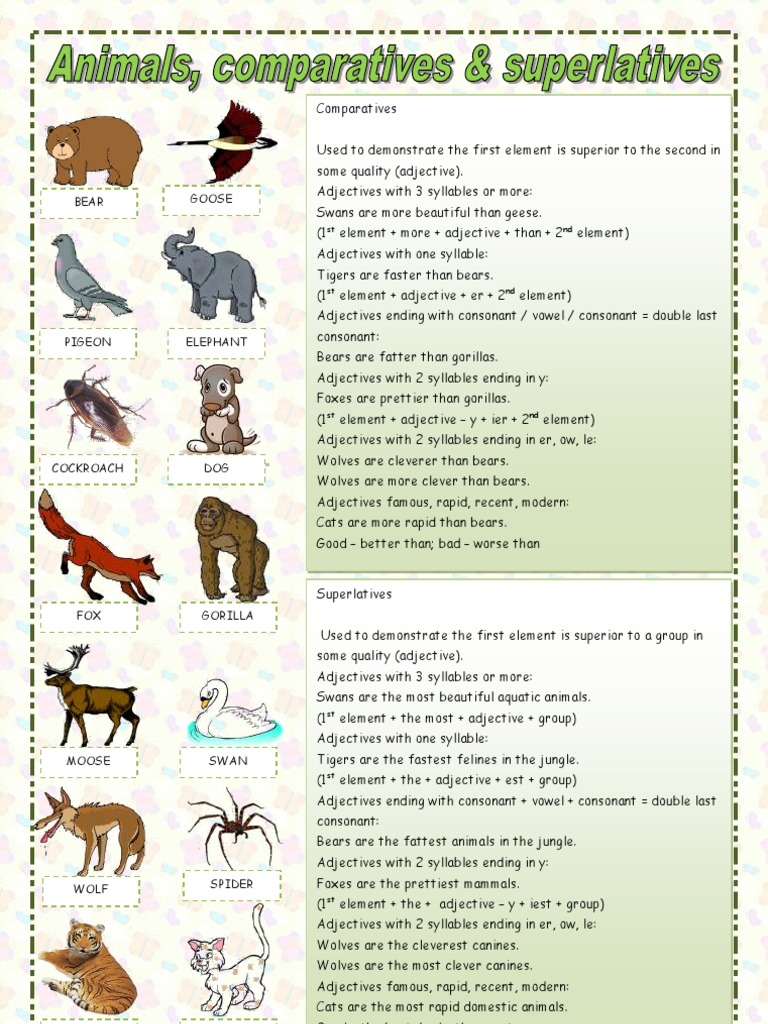 Animals Comparatives Superlat | Adjective | Syllable