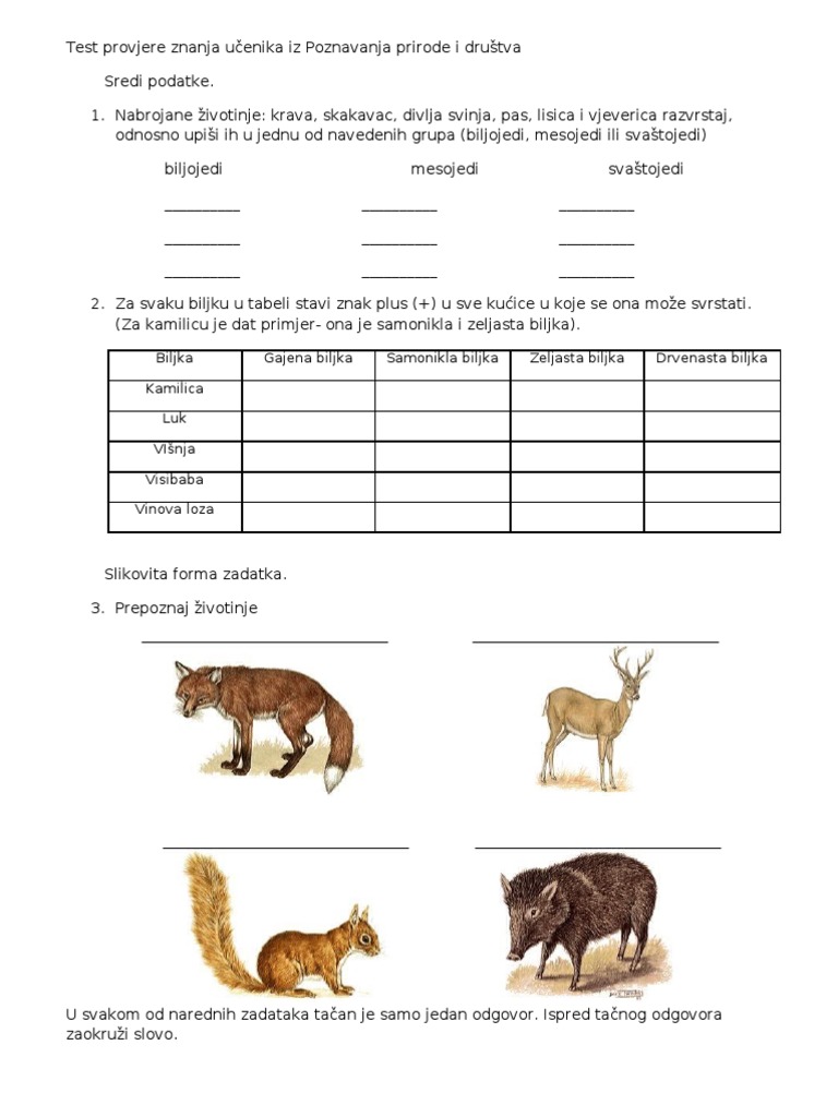 Test PPD | PDF