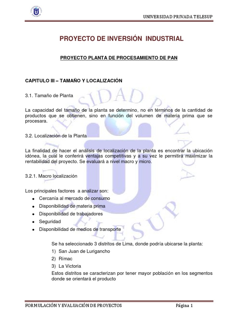 Proyecto de inversion social ejemplo.pdf