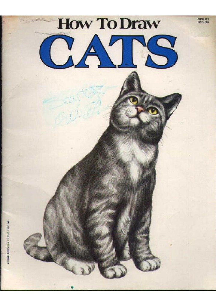 How To Draw Cats | PDF