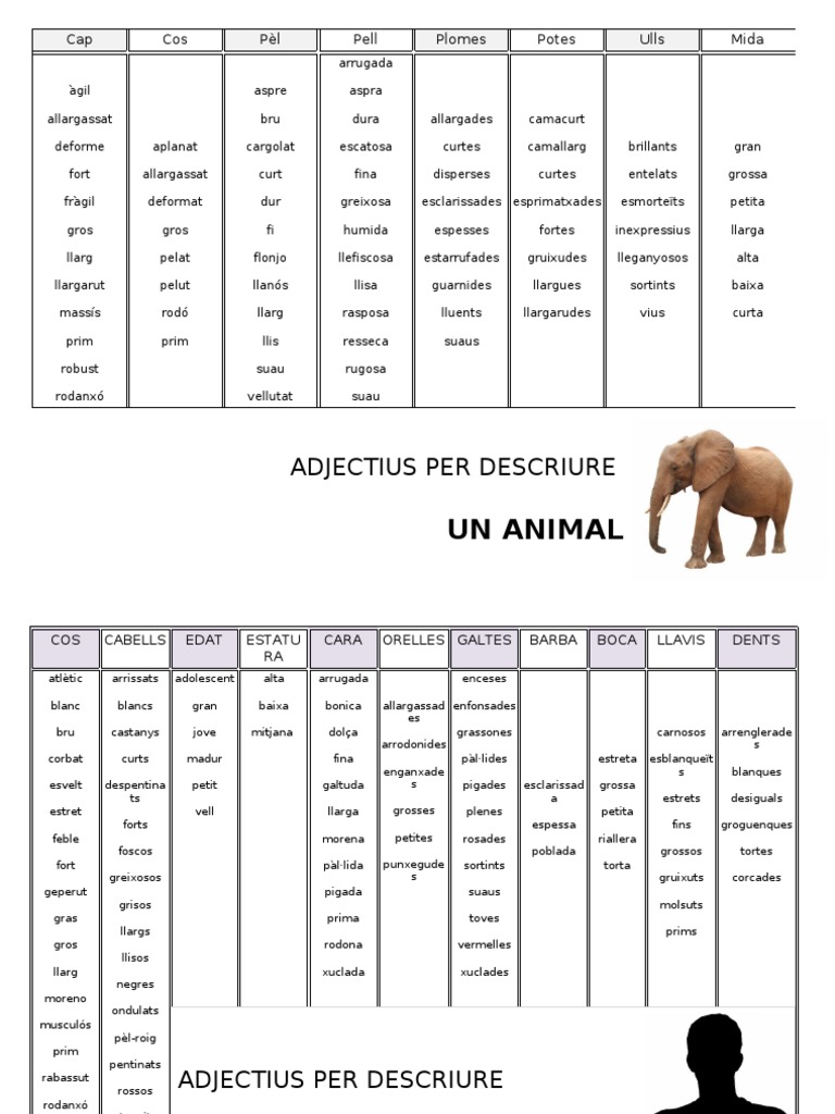 Adjectius Per Descriure Animals I Persones | PDF