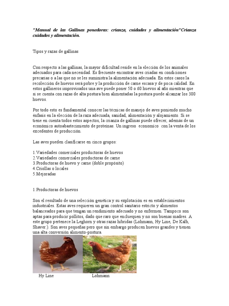 Manual de Las Gallinas Ponedoras | PDF | Pollo | Aves