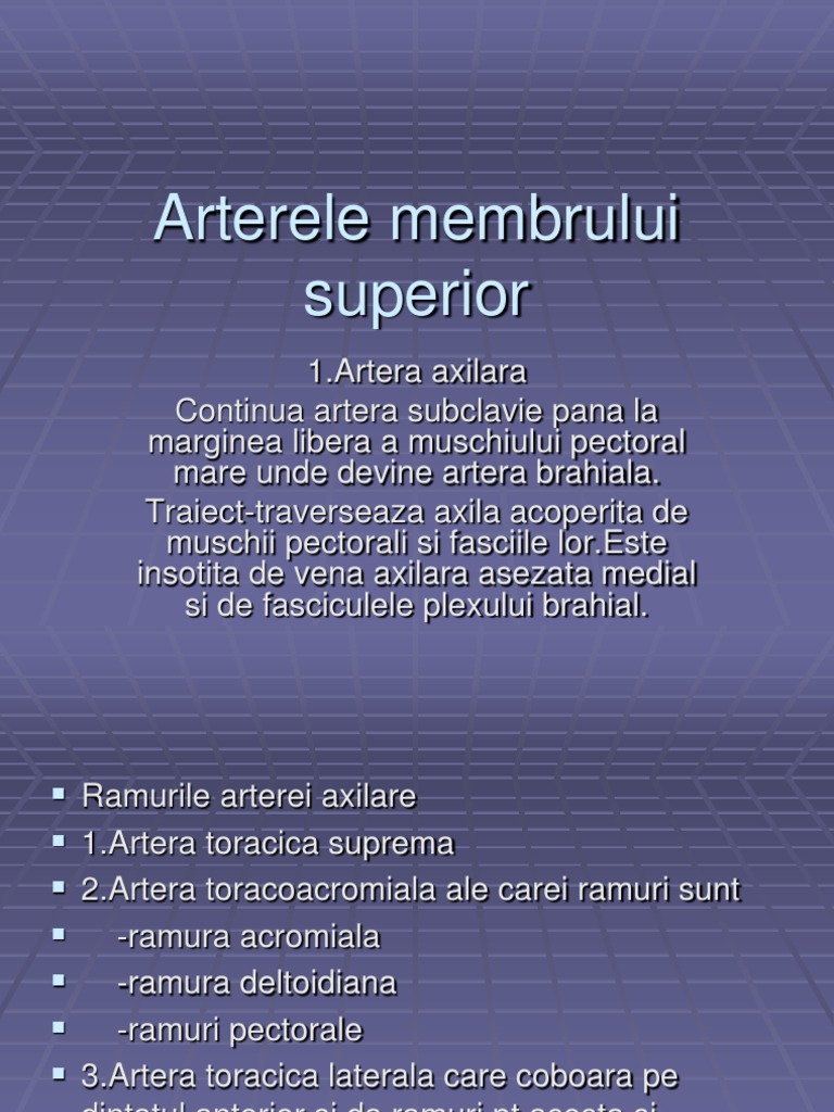 Arterele Membrului Superior