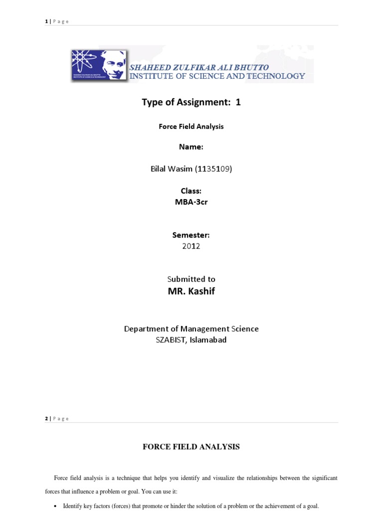 Type of Assignment: 1: Bilal Wasim (1135109) | PDF | Goal | Retail