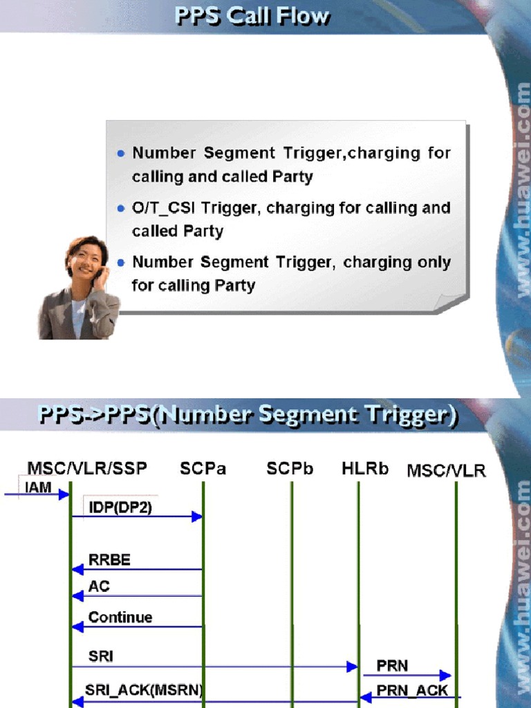 Signaling Call Flow In Pdf