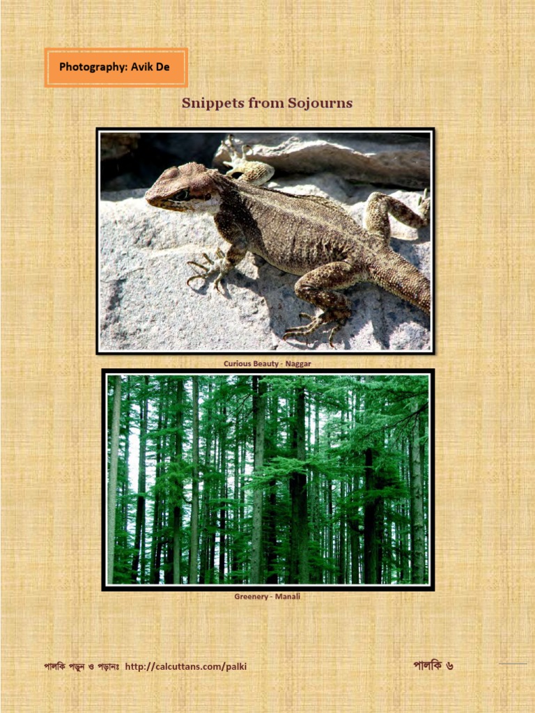 Nature Photography by Avik De | PDF