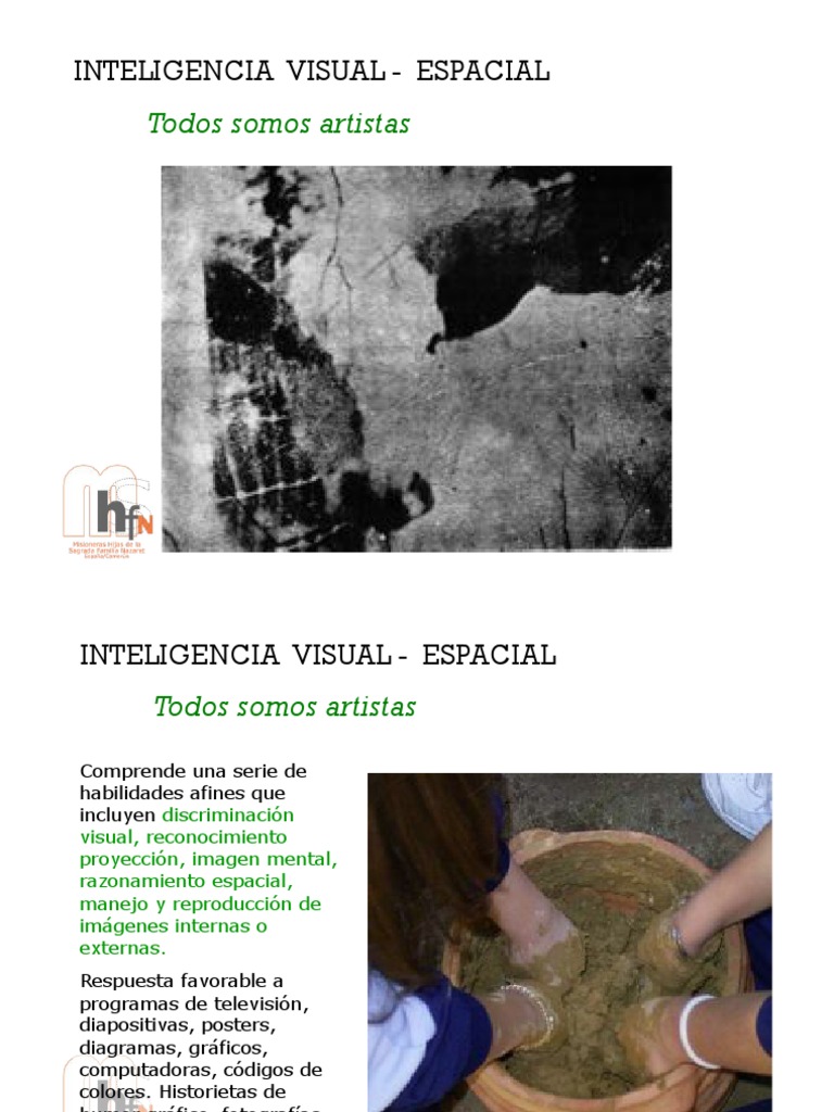 Inteligencia Visual Espacial PDF | PDF | Imagen | Aprendizaje