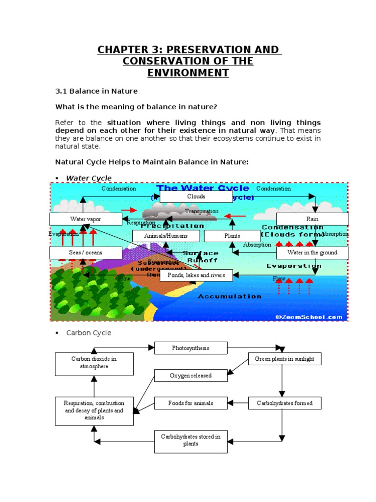 Sains SPM Chapter 3 Form 5 | PDF | Food Web | Carbon Dioxide