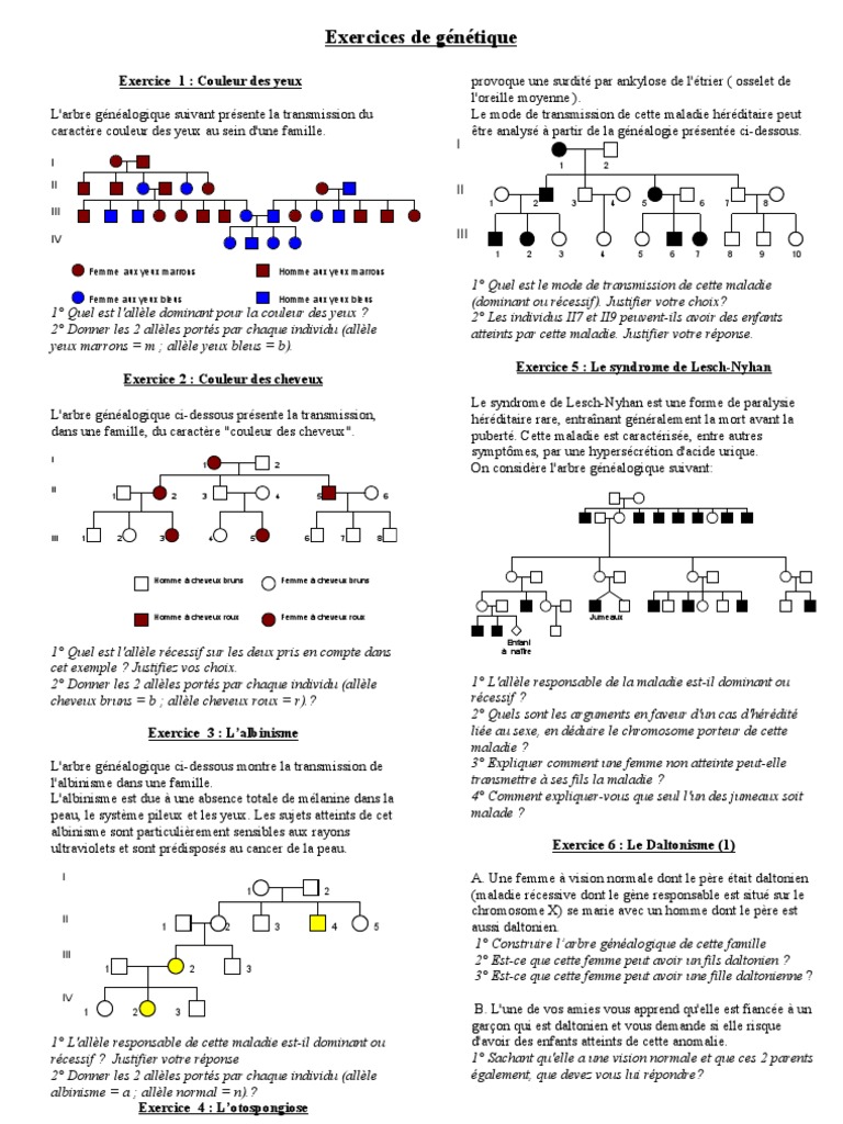 Exercices de génétique humaine | PDF | Hémophilie | Allèle