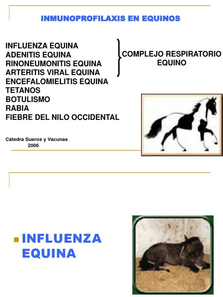 Equinos | PDF | Influenza | Virus de la Influenza A Subtipo H5 N1